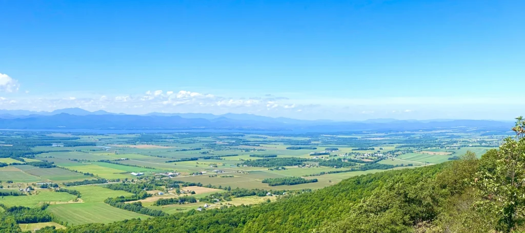 Green Mountain Justice